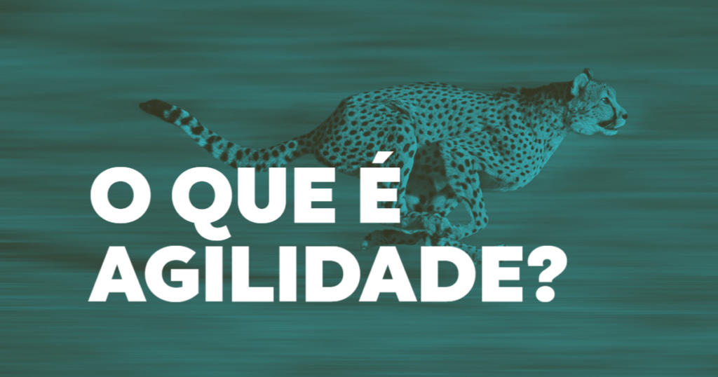 O que é Agilidade? - Blog Agile4Growth